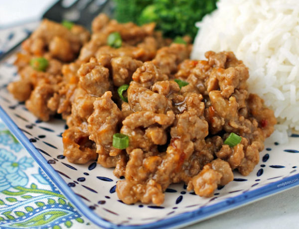 Orange Ground Turkey - Emily Bites